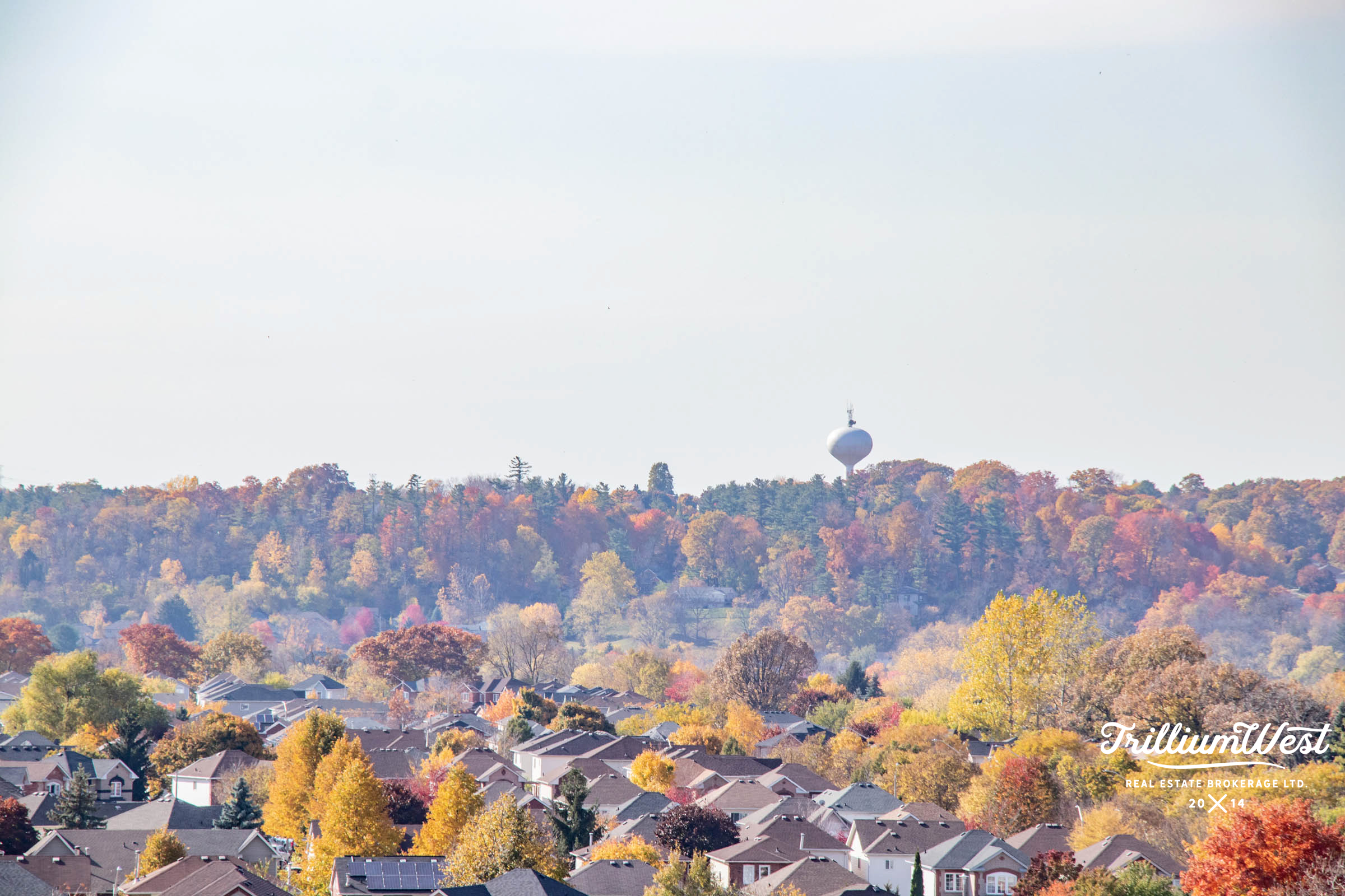 TrilliumWest Real Estate Brokerage :: TW Neighbourhoods :: Branchton Park