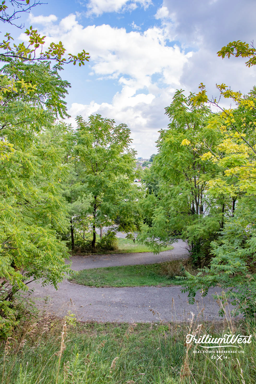 TrilliumWest Real Estate Brokerage :: TW Neighbourhoods :: Columbia Forest